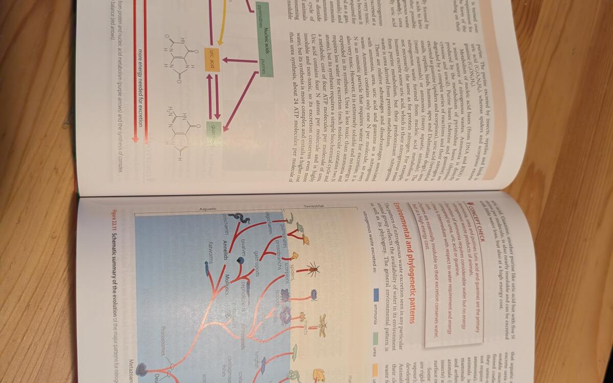 Biology — StudentVIP